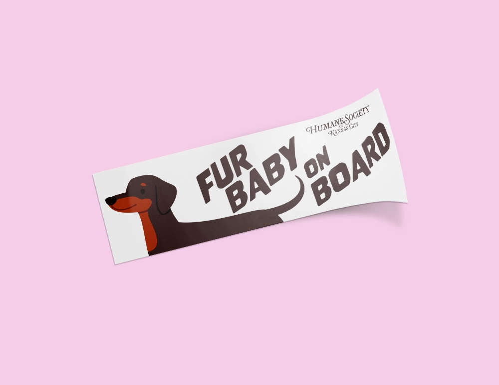 Custom Bumper Stickers | Fast, Durable Vinyl Printing